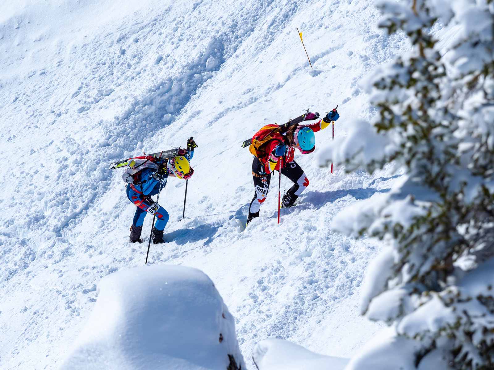 Skimo Canada – Advancing ski mountaineering racing in Canada